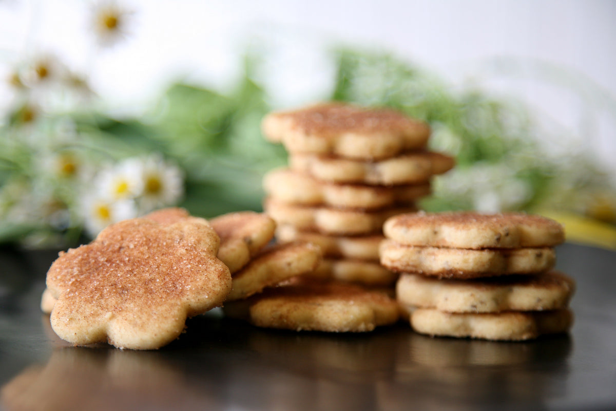 Chocolate Maven Biscochito Cookies – Chocolate Maven Bakery